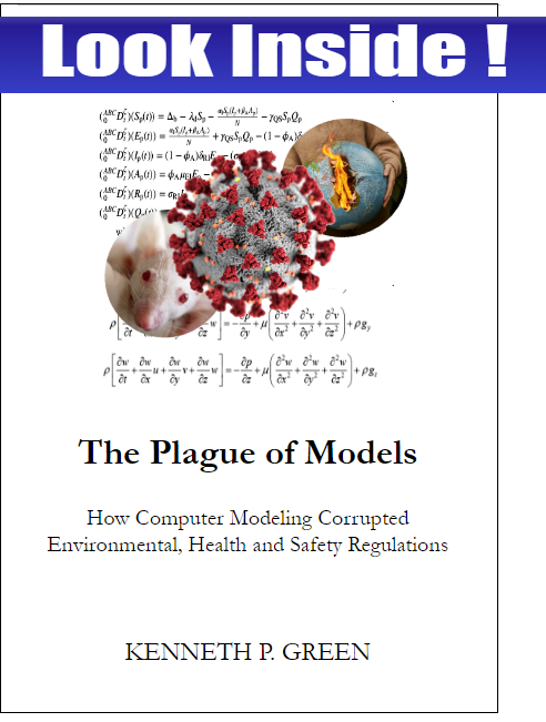 The Plague of Models – Fullerene Publishing Inc.